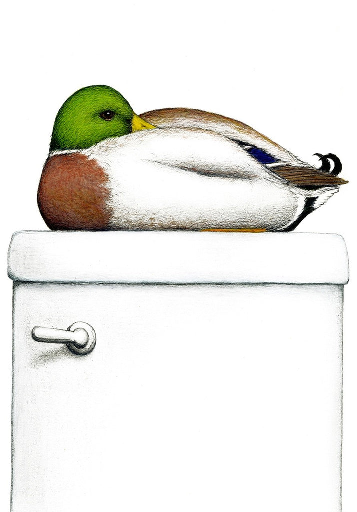 Peeking Duck – Birds On Things